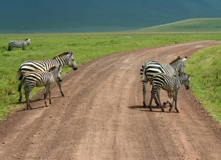 Ngorongoro History